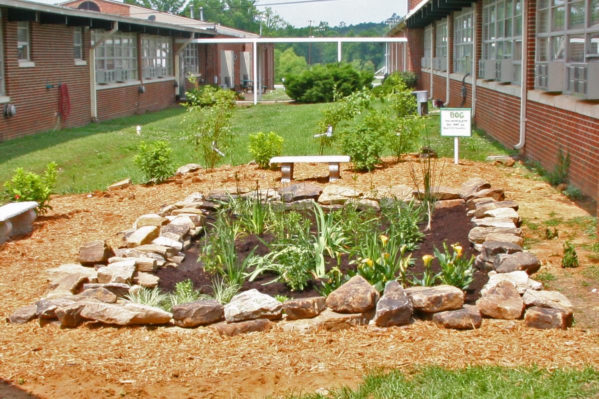 Outdoor Learning Station: Pitcher Plant Bog