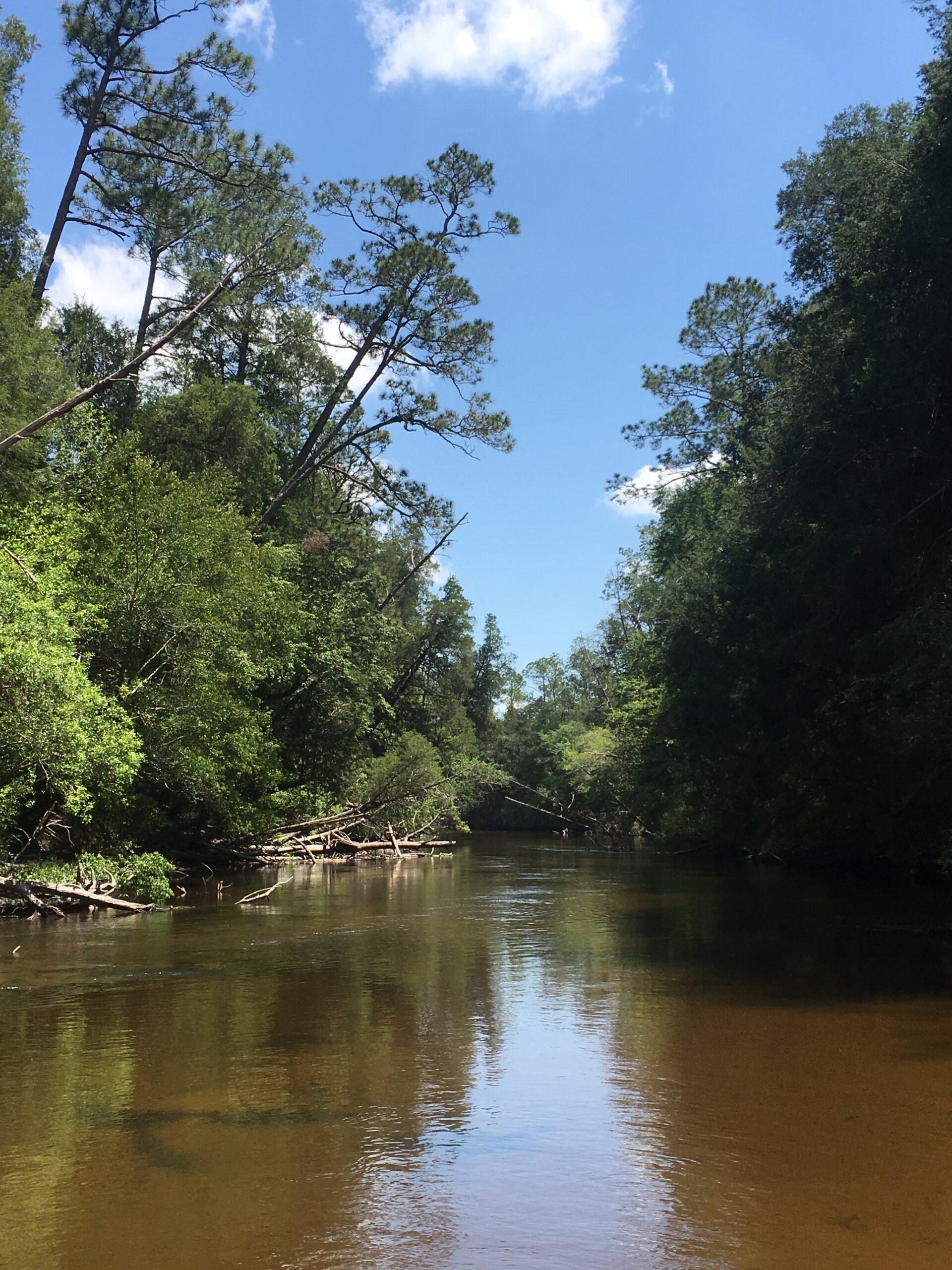 Investigate Alabama’s Waterways