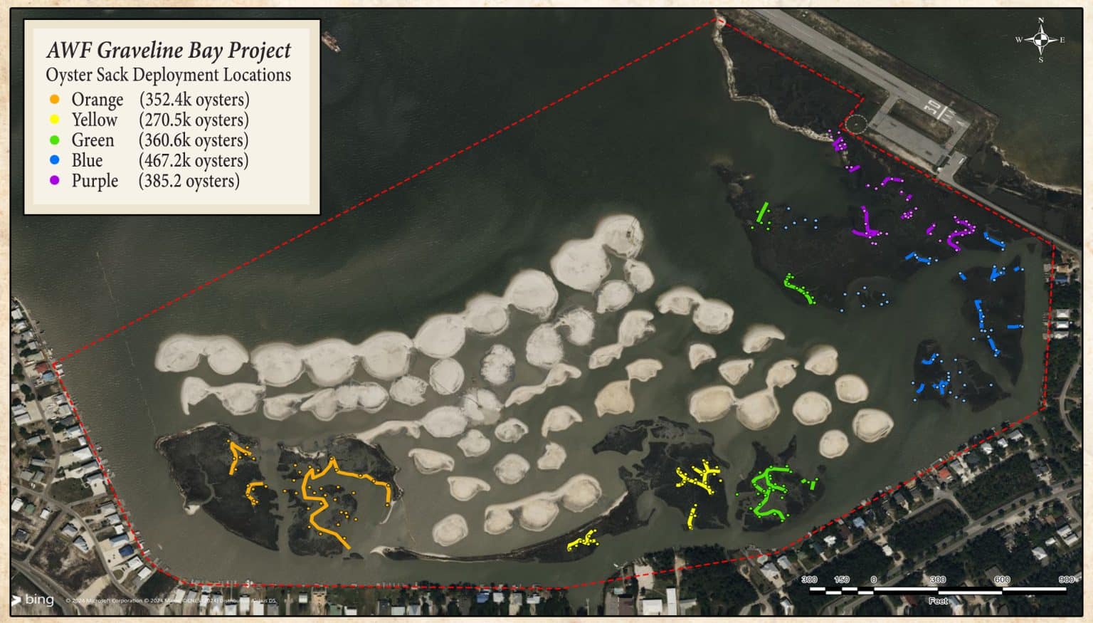 AWF Oyster Restoration Initiative